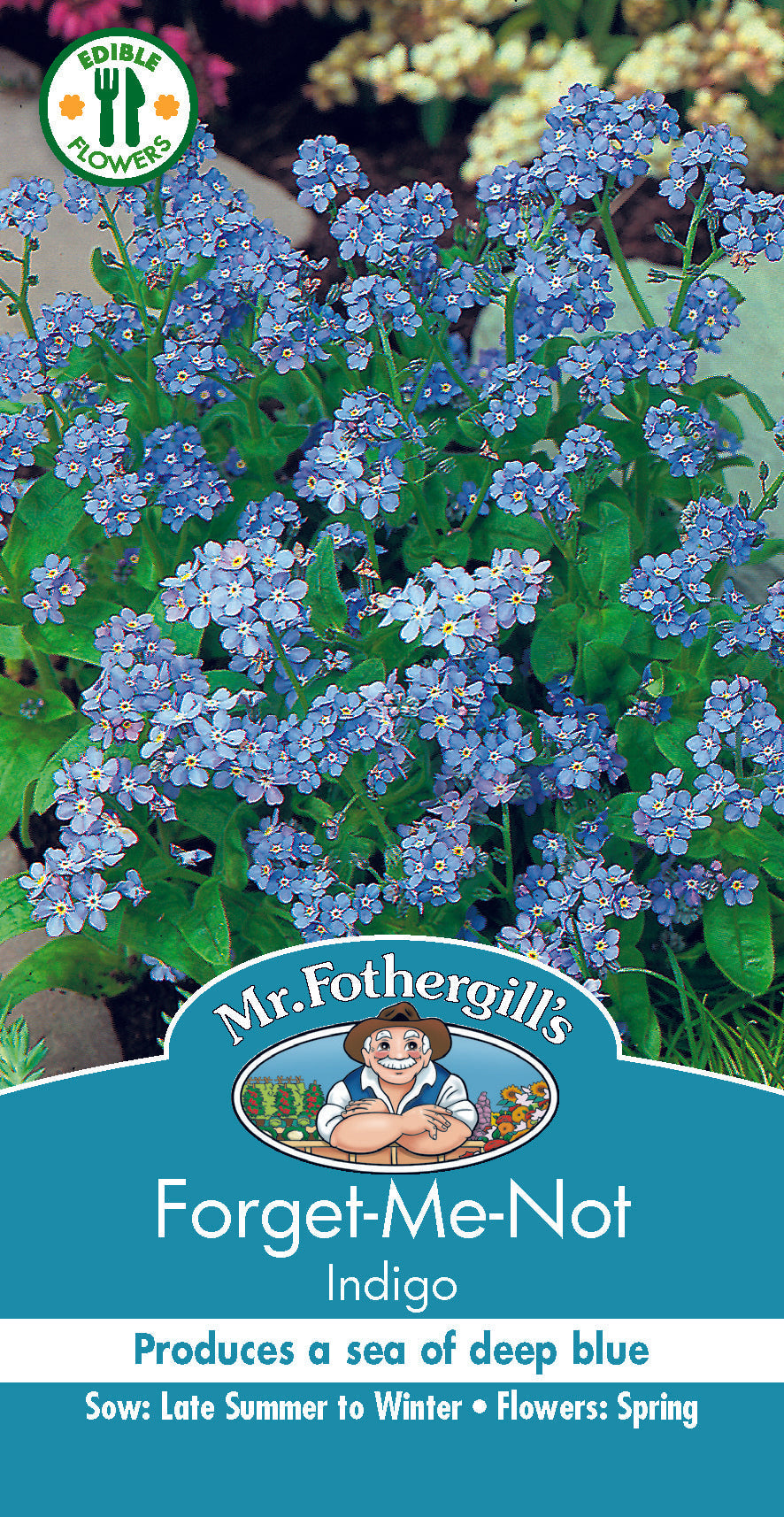 Seeds B Forget Me Not Indigo