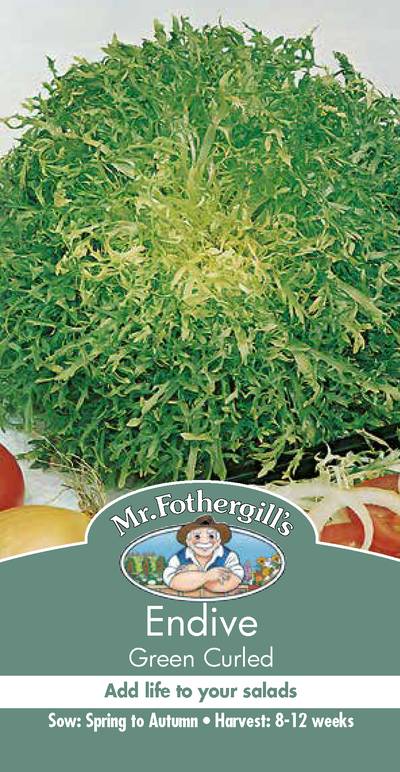 Seeds A Endive Ruffec Green Curled